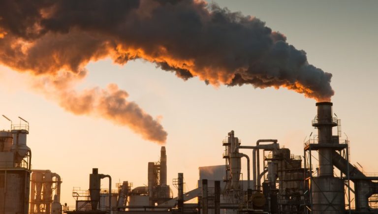 How Waste Management affects the Environment? in 2024 - Arcann Waste